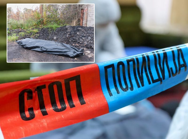 UŽAS u Novom Sadu: Pronađeno TELO na klupi u parku - Objektiv