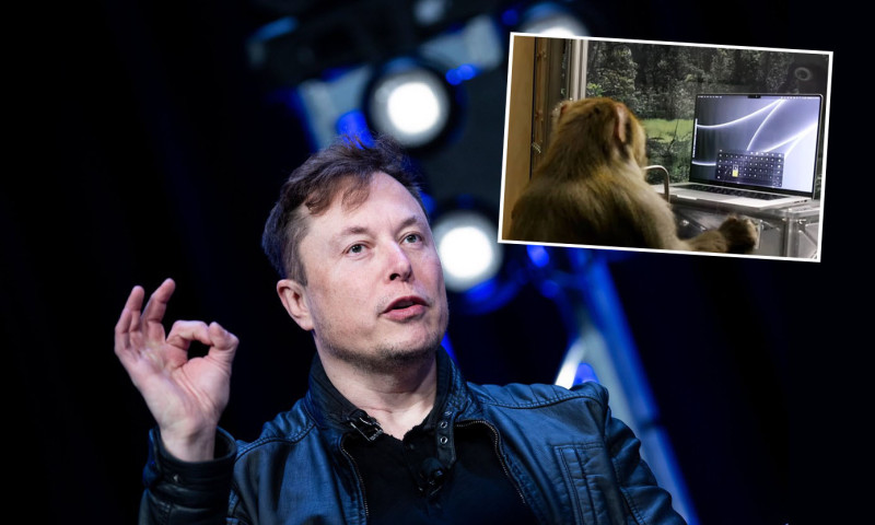 Majmun piše mislima! Ilon Mask otkrio nove detalje o Neuralink implantu ...
