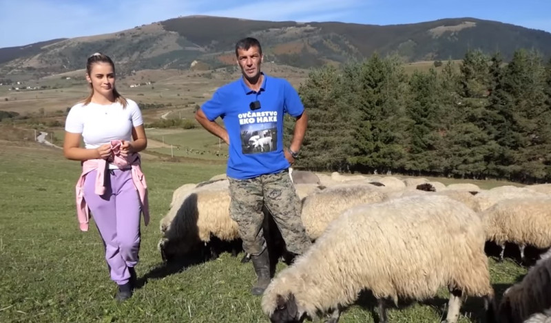 Azemina iz Kupresa osvojila region: Opanaka se ne stidi, čuva stado ...