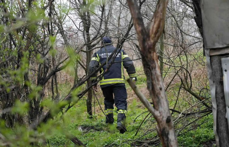 Devojčica bi prvo pala ili sela: Komšija tvrdi da Danka (2) nije mogla ...