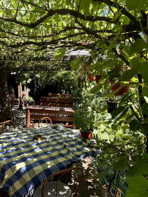 Srednjevekovni grad Koznik, najočuvanija srpska tvrđava sa nestvarnim ...